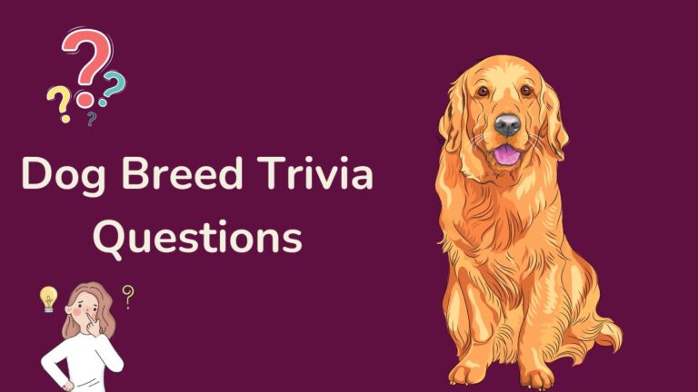 50 Best Dog Trivia Questions (Brain-Teasers)